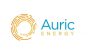 Auric Solar rebrands as Auric Energy, acquires Solaroo Energy | Solar ...