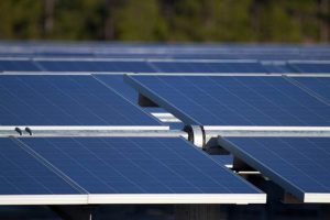 Florida Power & Light will install '30 million solar panels' by 2030 ...