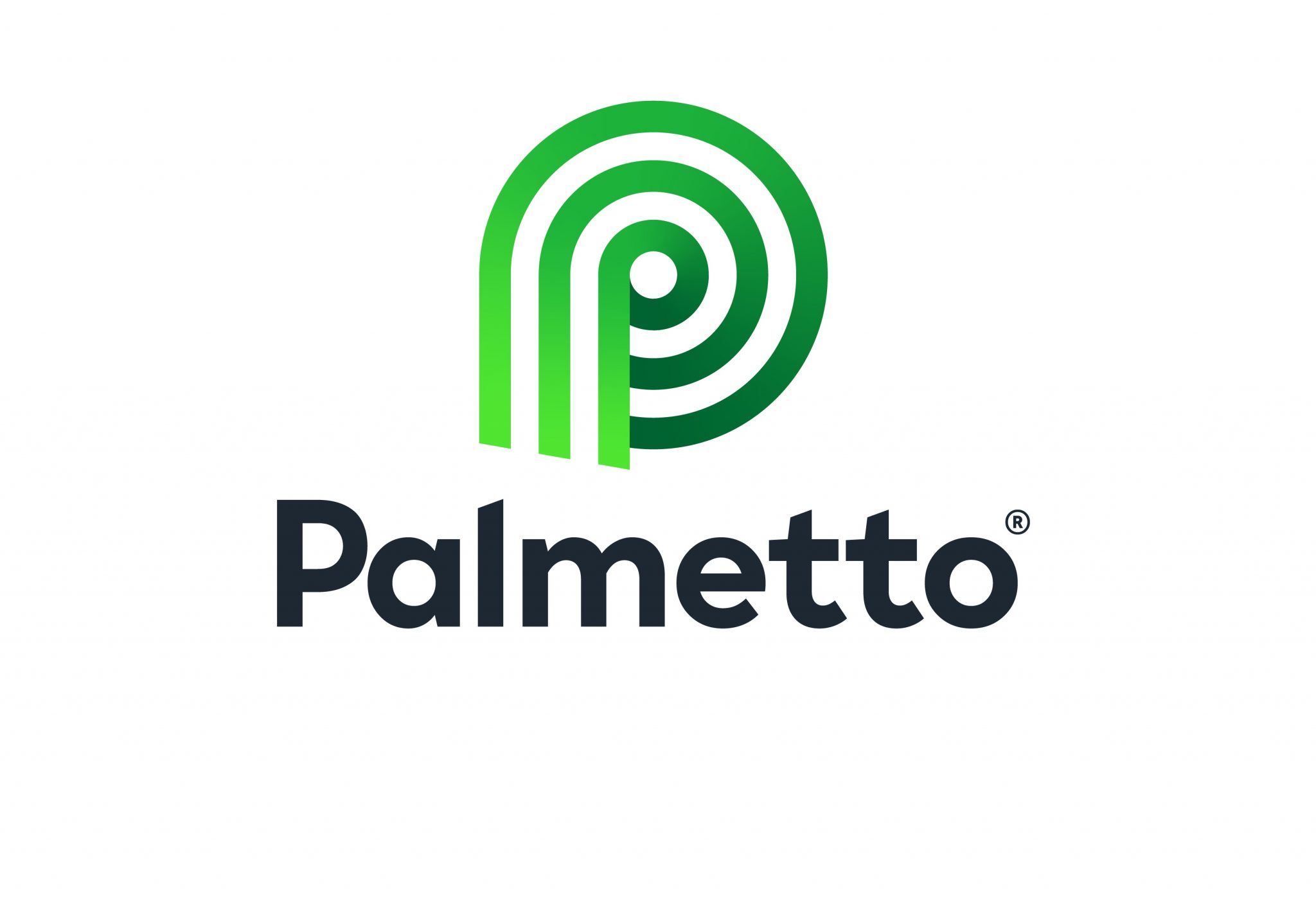 Palmetto raises over $1.2 billion to back LightReach financing