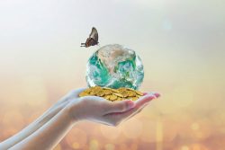 Climate First Bank joins 1% for the Planet | Solar Builder