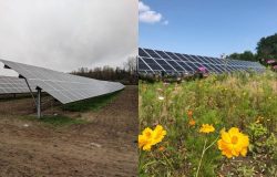 Mitigating the impacts from stormwater runoff in solar construction ...