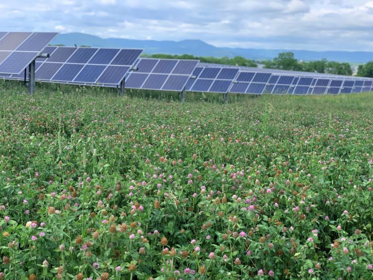 Elk Hill Solar 1 marks second large-scale project in Pennsylvania by ...