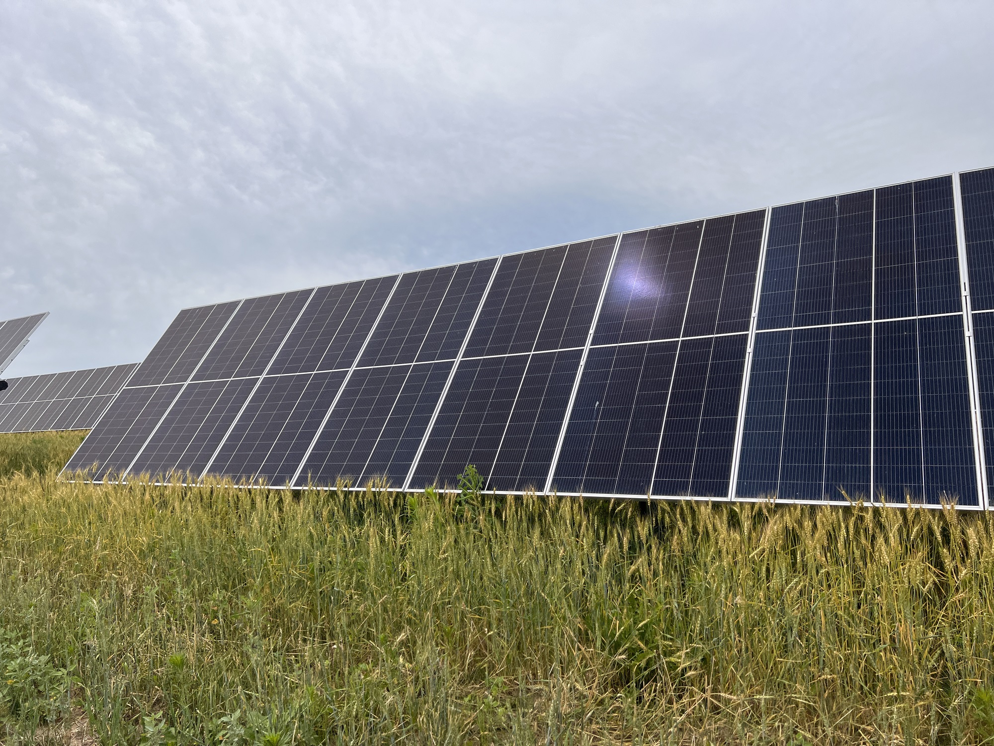 Alliant Energy's North Rock Solar Project now operational in southern ...