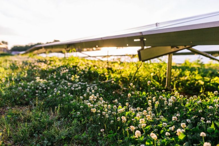 UNIRAC debuts new collection of rooftop solar mounting products to ...