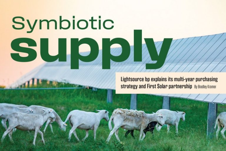 Lightsource bp explains multi-year solar panel purchasing strategy