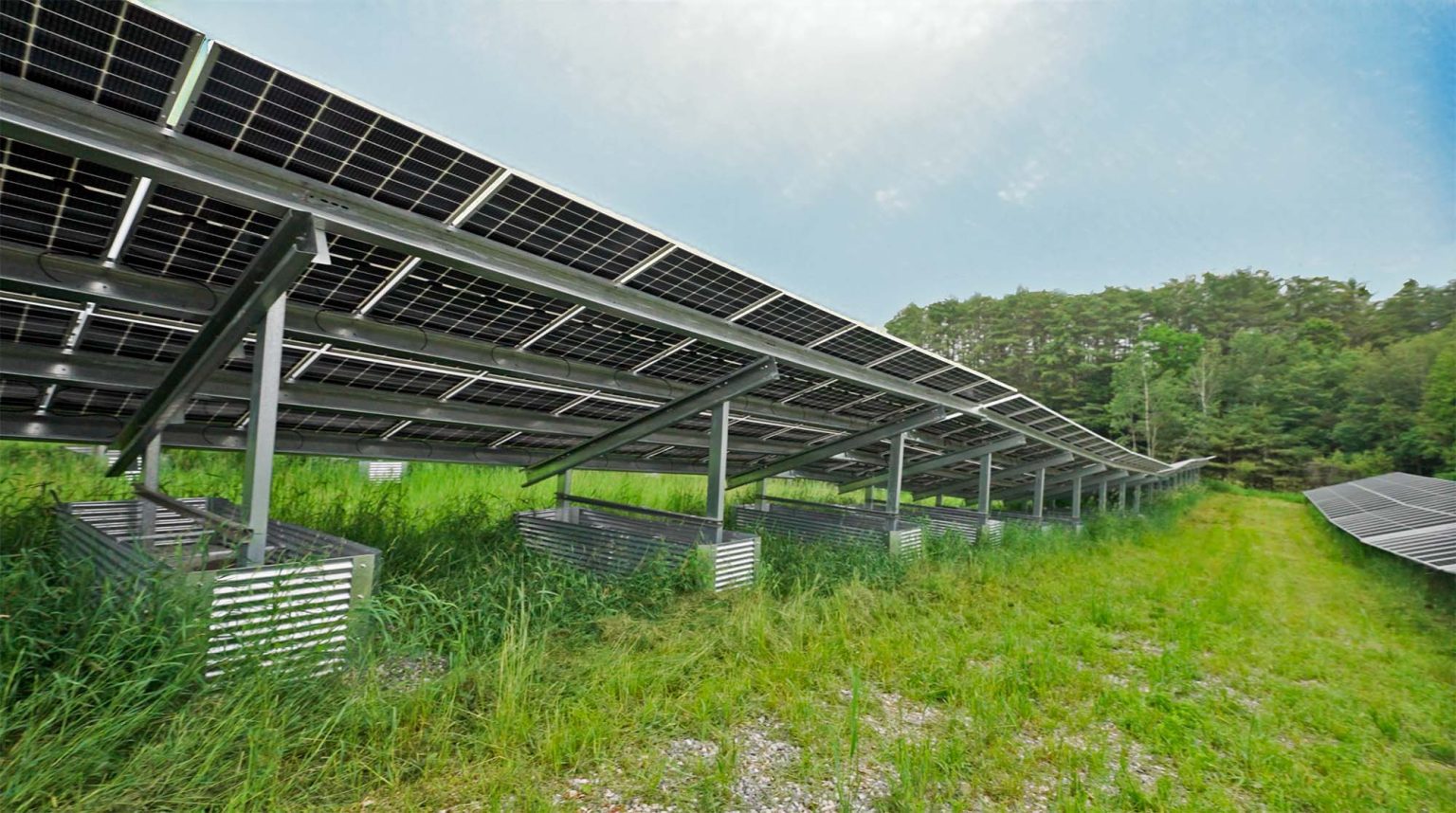Renu Energy Solutions installs solar array atop living-learning ...