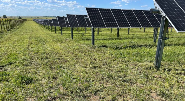Nexamp provides community solar benefits to 2 Illinois municipal ...