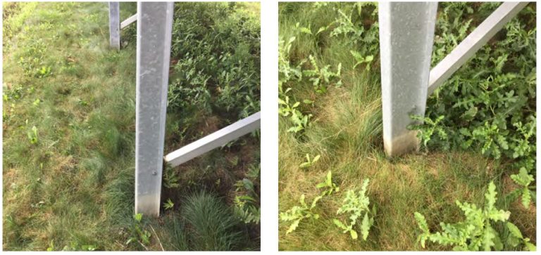 Frost heave mitigation matters for your solar project. Here's why ...