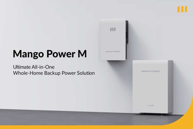 Energy Storage System Buyer's Guide 2025 | Solar Builder