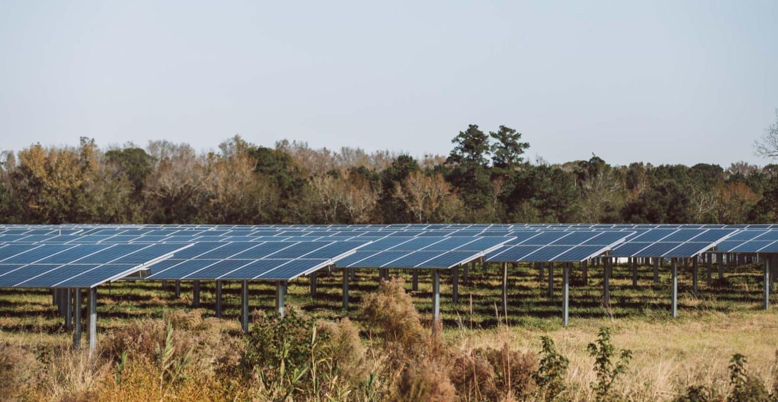 EDP Renewables celebrates its first solar park in North Carolina ...
