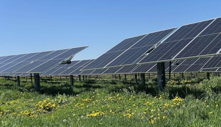Completed 200 MW Grant County Solar Project marks milestone in ...