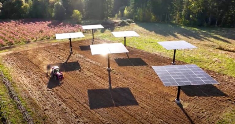 Planting PV: Agrivoltaics project procurement planning
