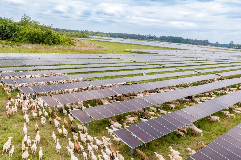 AIP Management invests $500M in Silicon Ranch | Solar Financing ...