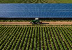 SEIA launches interactive map highlighting agrivoltaic potential ...